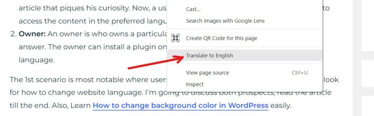 How To Change Website Language? - BasicWebGuide