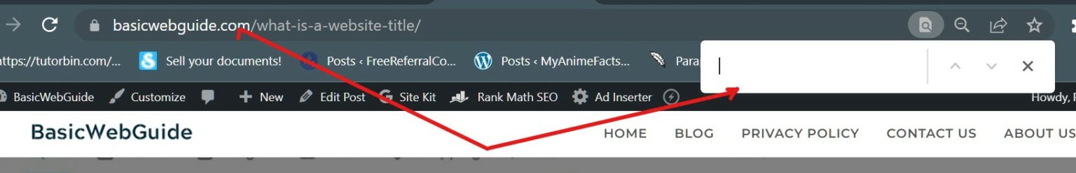 What Is Website Address Bar? 3 Basic Elements Of Address Bar - BasicWebGuide