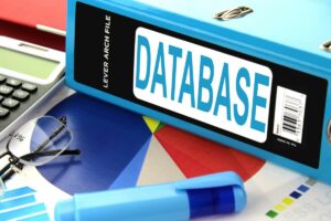 What Is The Difference Between A Database And A Website? - BasicWebGuide