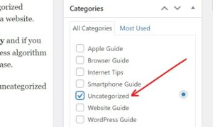 How To Remove Uncategorized Category In WordPress? 2 Best Ways - BasicWebGuide